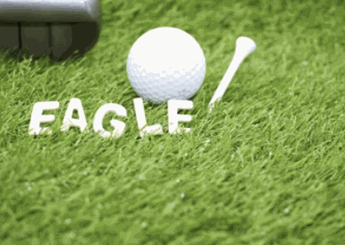 EZ Bundle - Eagle (3 1/4") | All Star Pro Golf (ASPG)
